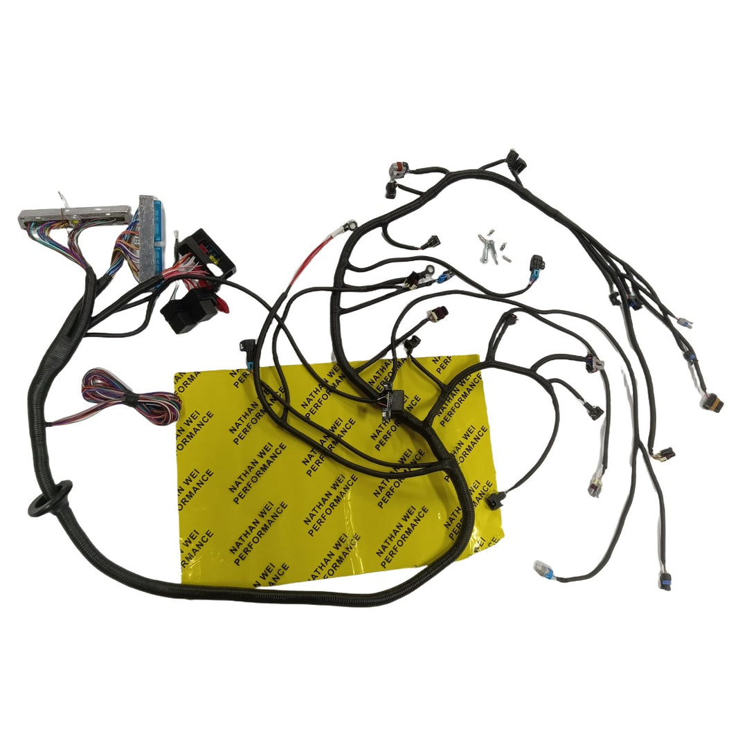 Custom LS Stand Alone Wiring Harness with Multec EV1 EV6 for Sale ...