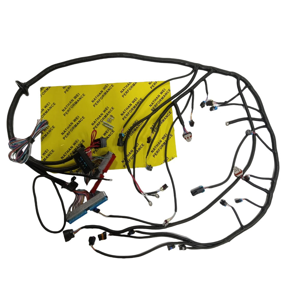 Custom LS Stand Alone Wiring Harness with Multec EV1 EV6 for Sale ...